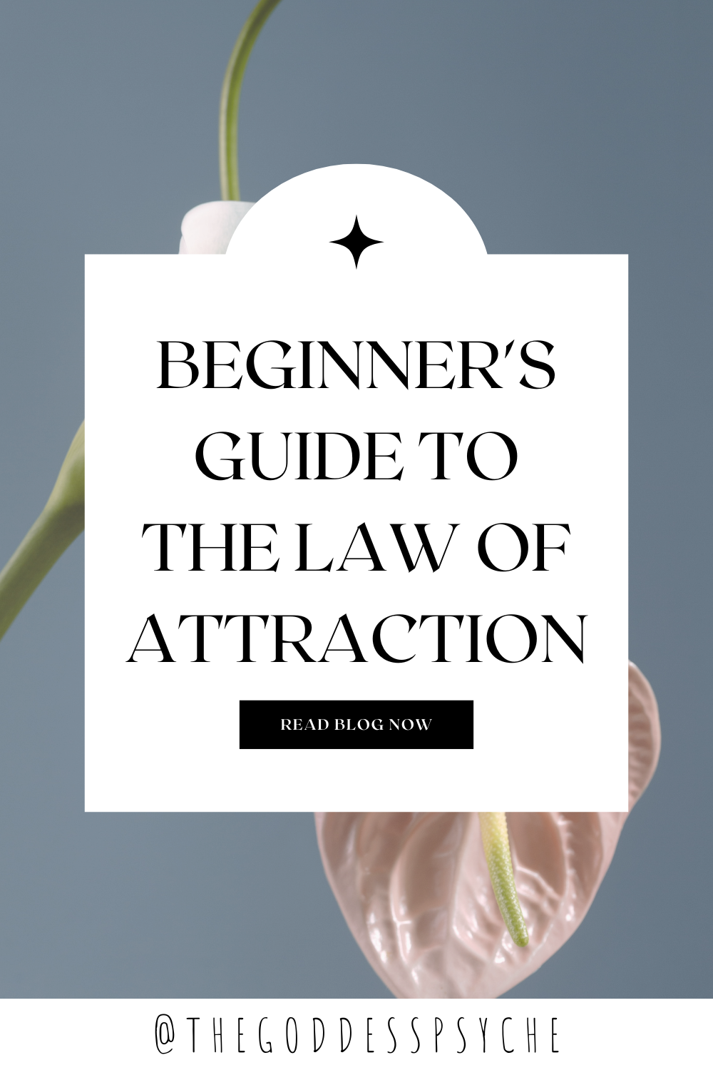 Beginner's Guide to The Law of Attraction - The Goddess Psyche