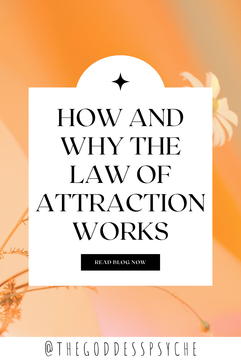 How and Why The Law of Attraction Works - The Goddess Psyche