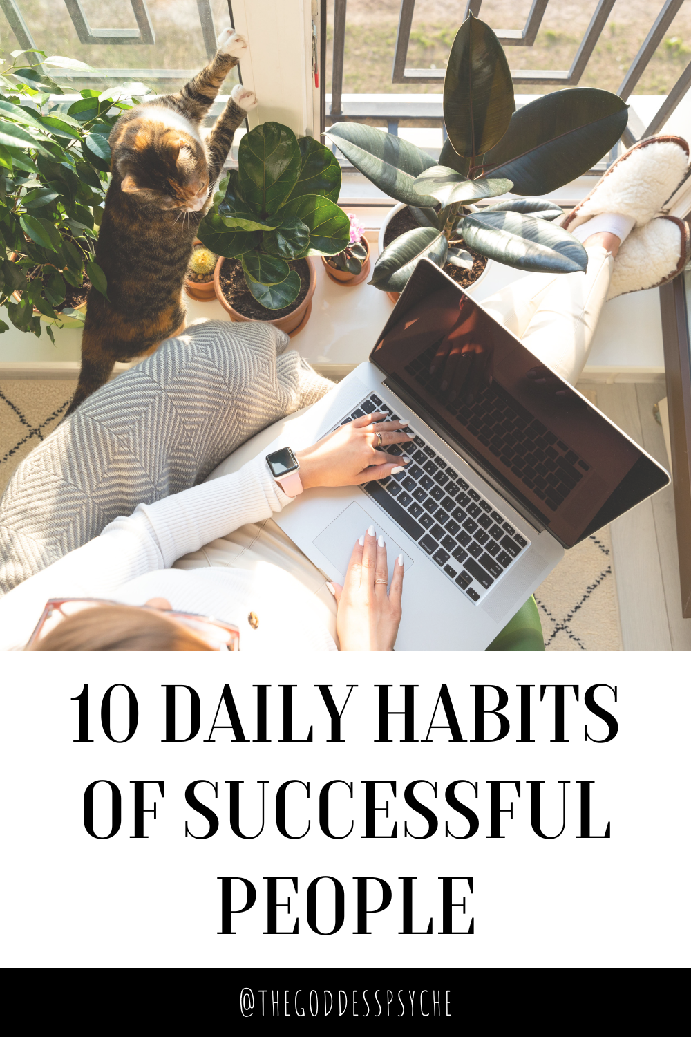 10 Daily Habits Of Successful People The Goddess Psyche
